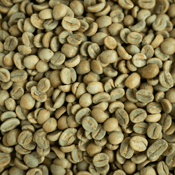 UNROASTED COFFEE - Susans Coffee